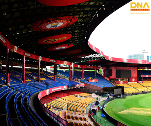 DNA Entertainment Networks: That's Entertainment